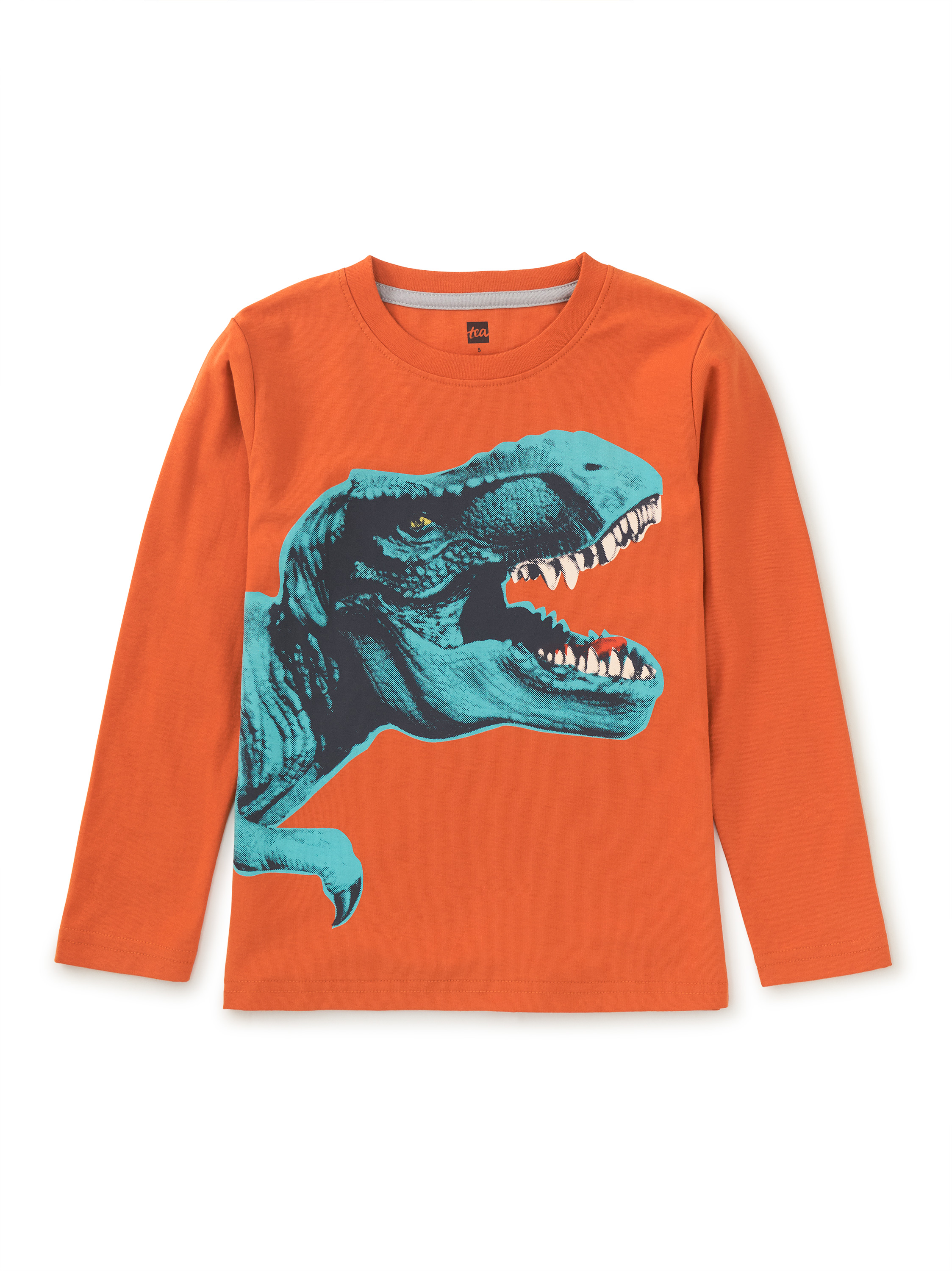 BOY & T-Rex Chomp Graphic Tee & GRAPHIC TEE & Tea Collection