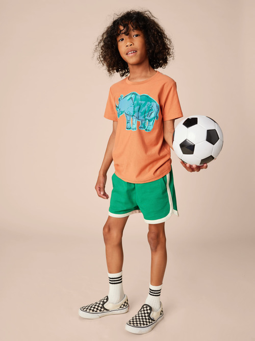 Boys Shorts | Tea Collection